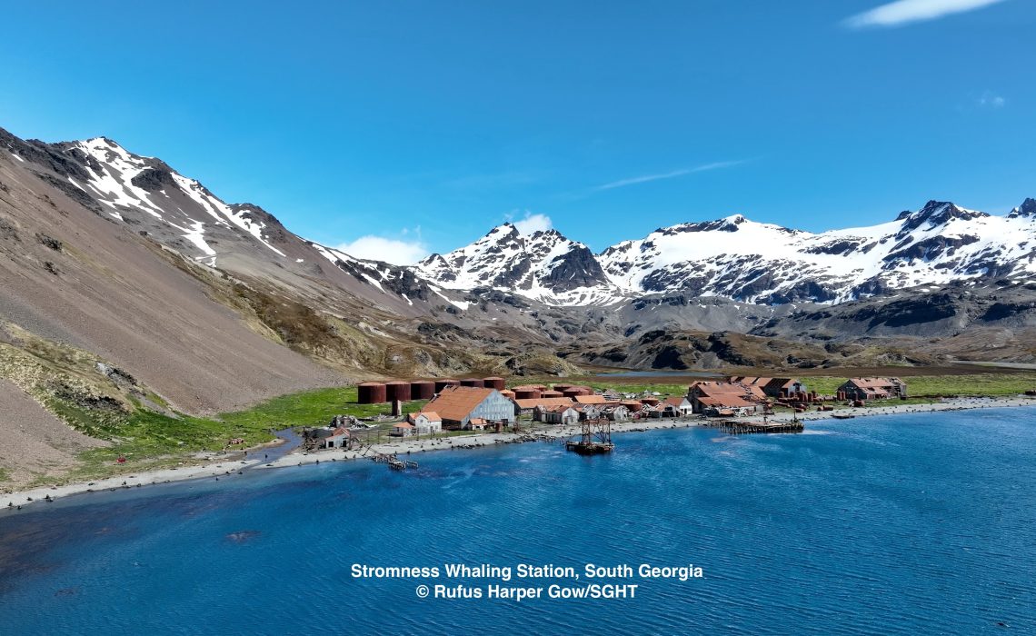 From Ambassador to Trustee: An Unexpected Voyage – Sue Q's World